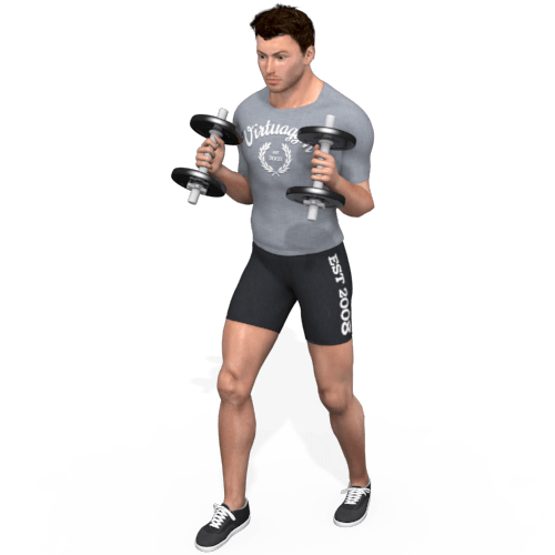 Dumbbells Hammer Curl Two Sides Video Exercise Guide