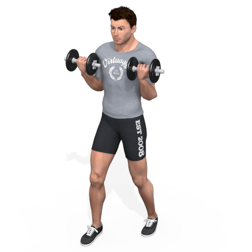 Dumbbells Biceps Curl Two Sides Video Exercise Guide