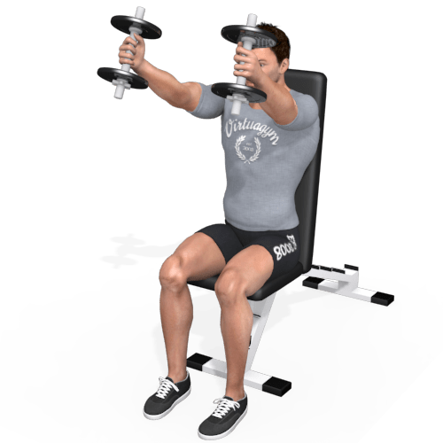 Dumbbells Front Raise Seated Two Sides Video Exercise Guide