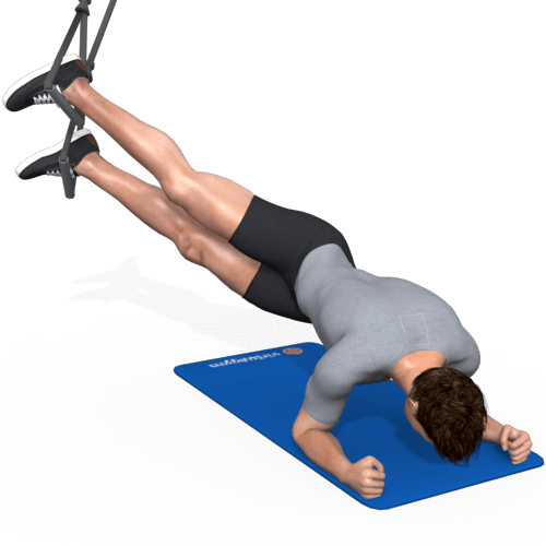 Suspension Trainer Pendulum Low Video Exercise Guide