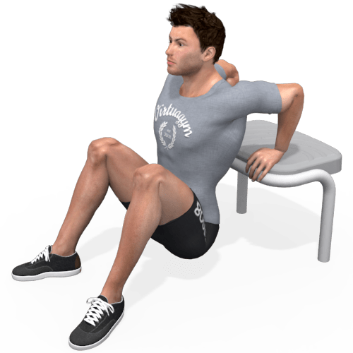 Aerobic Step Triceps Dip Video Exercise Guide