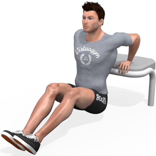 Aerobic Step Triceps Dip Legs Extended Video Exercise Guide