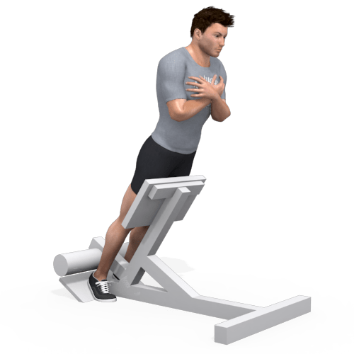 Hyperextension Low Video Exercise Guide