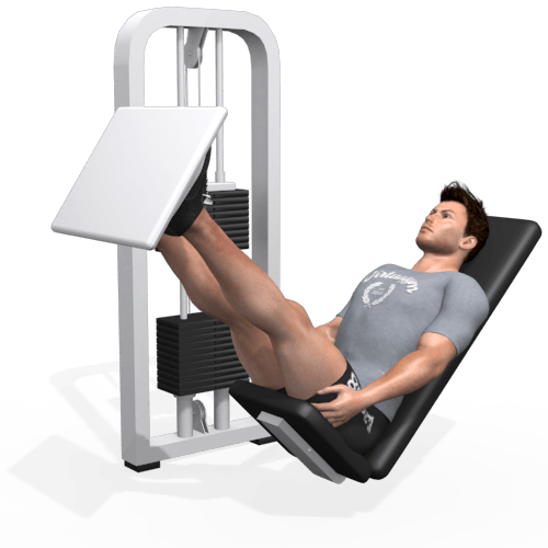45 Degree Leg Press Video Exercise Guide