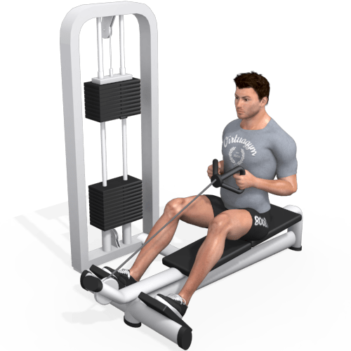 Pulley Row Video Exercise Guide
