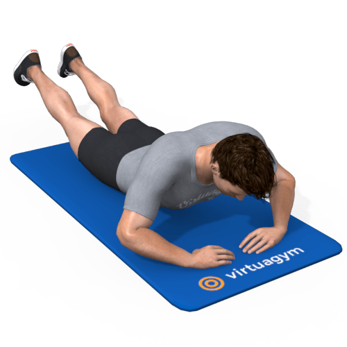 Back Raise With Legs, Hands On Ground Video Exercise Guide