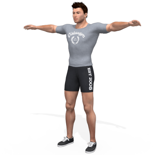 Lateral Raise Video Exercise Guide