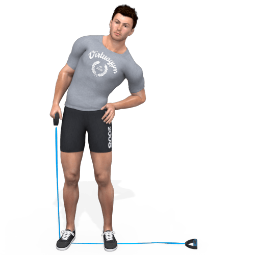 Elastics Side Bend Video Exercise Guide