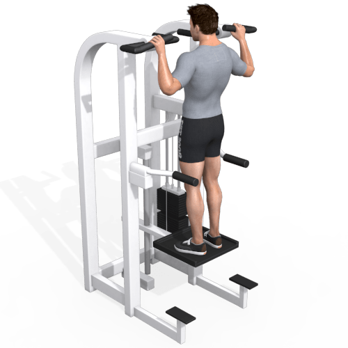 Assisted Standing Pull Up Wide Grip Video Exercise Guide
