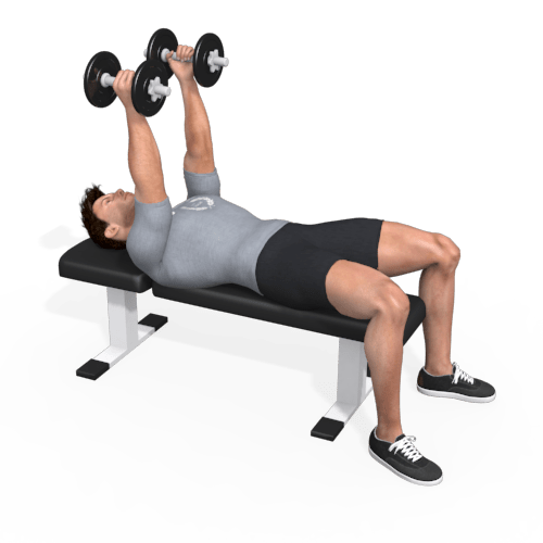 Dumbbells Triceps Extension Lying Video Exercise Guide