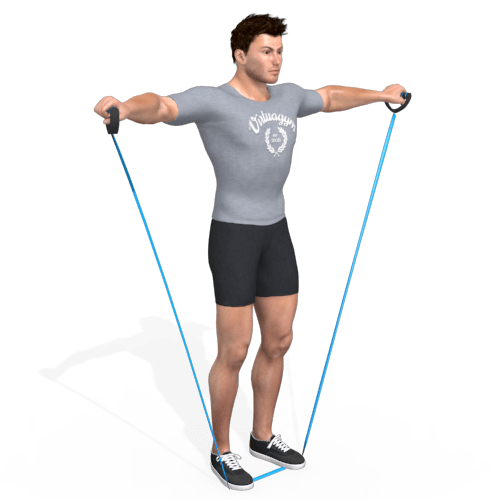 Elastics Lateral Raise Video Exercise Guide