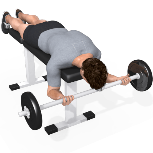 Barbell Biceps Curl Lying Video Exercise Guide