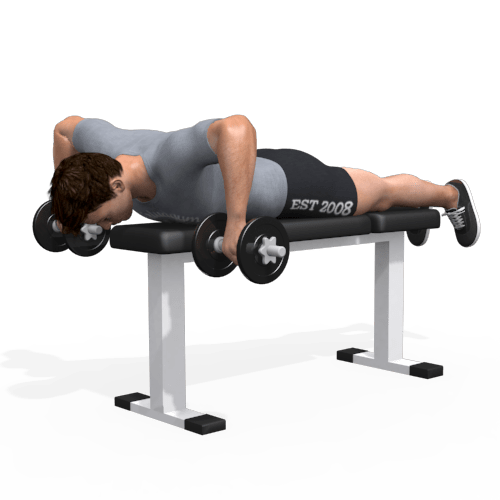 Dumbbells Seagull Row Video Exercise Guide