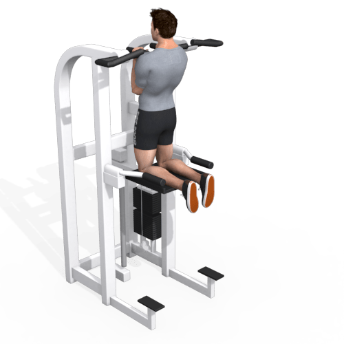 Assisted Kneeling Pull Up Neutral Grip Video Exercise Guide