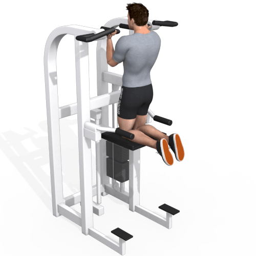 Assisted Kneeling Pull Up Reverse Grip Video Exercise Guide