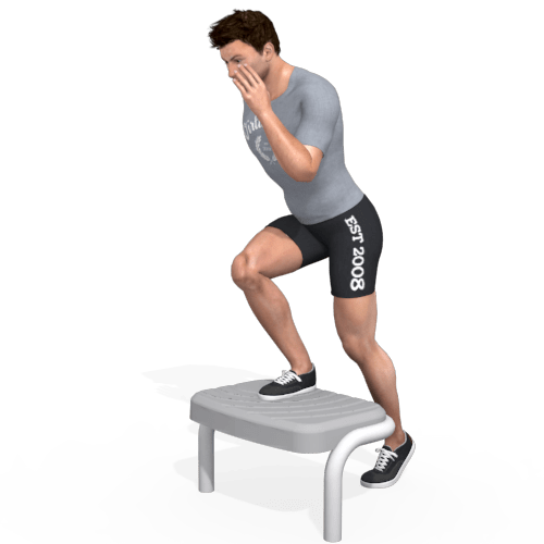 Aerobic Step Reverse Drops Video Exercise Guide