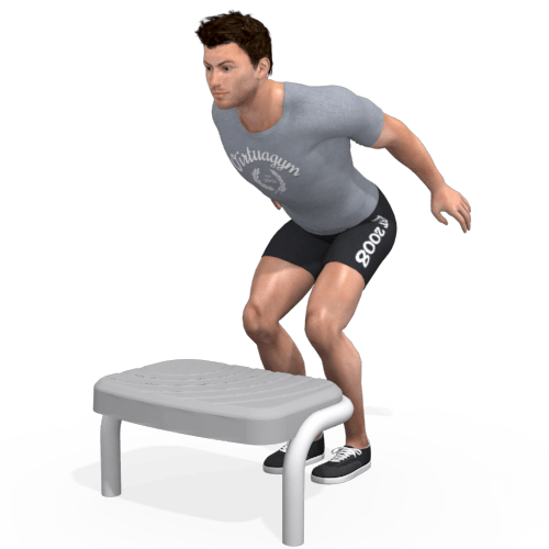 Aerobic Step Jumps Video Exercise Guide