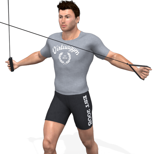 Pulley Reverse Fly Standing Video Exercise Guide