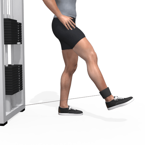 Pulley Hip Flexion Standing Video Exercise Guide