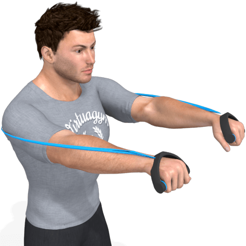 Elastics Chest Press Video Exercise Guide