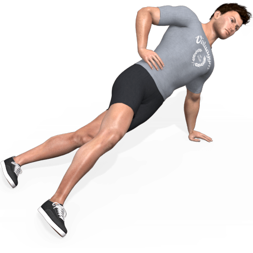 Side Plank Hand Feet Wide Static Video Exercise Guide