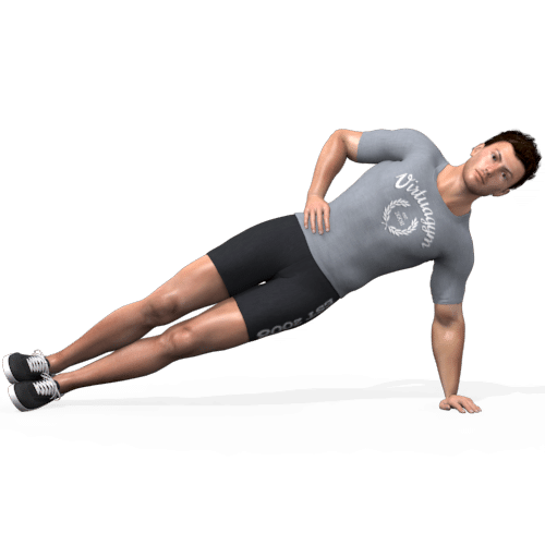 Side Plank Hand Foot Static Video Exercise Guide
