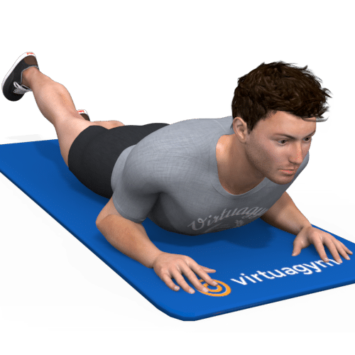 Back And Leg Raise Hands On Ground (alternating) Video Exercise Guide