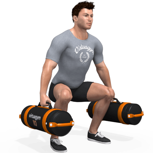 Sandbag Squat Double Suitcase Video Exercise Guide