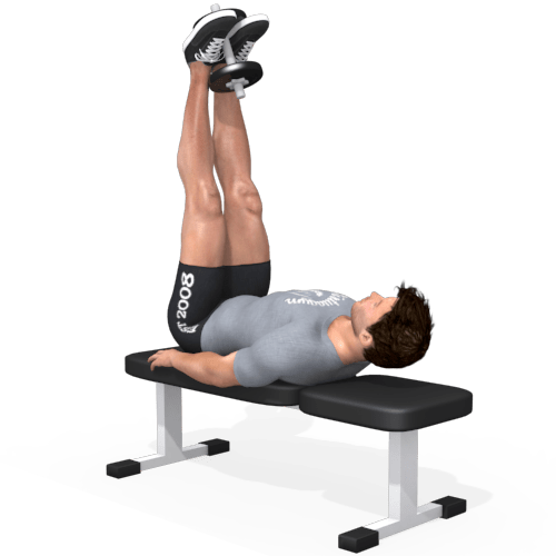Dumbbells Lying Leg Raise Video Exercise Guide