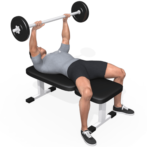 Barbell Straight Arm Pullover Video Exercise Guide