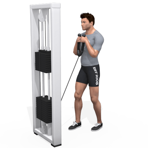 Hammer Curl Video Exercise Guide