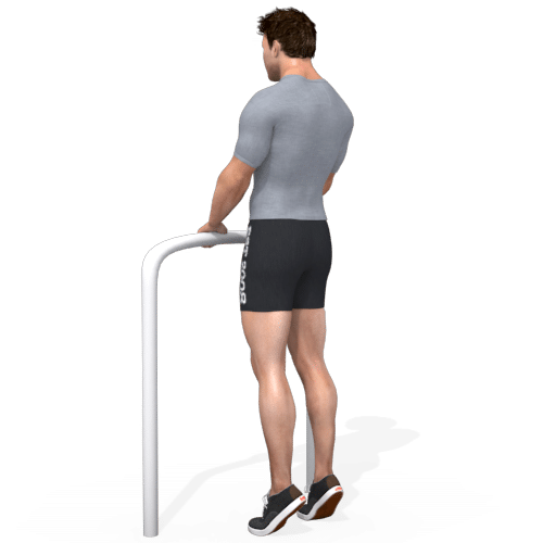 Parallel Bars Calf Raise Assisted Standing Video Exercise Guide