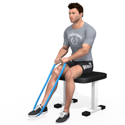 Resistance Band Ankle Extension Video Exercise Guide
