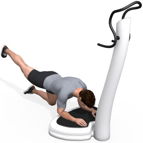 Vibration Training Plank One Leg Video Exercise Guide