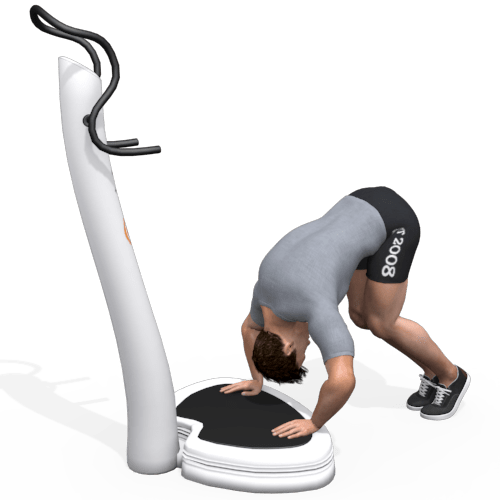 Vibration Training Balance Shoulder Press Video Exercise Guide