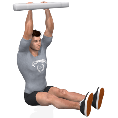 Rig Hanging Leg Raise Video Exercise Guide