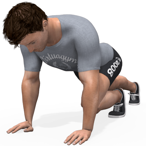 Mountain Climber Video Exercise Guide