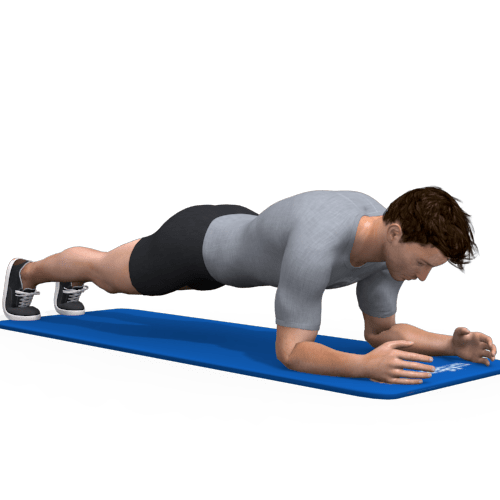 Plank Video Exercise Guide