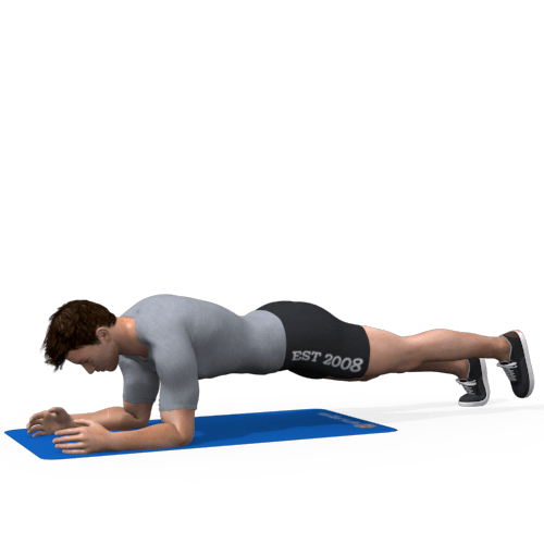 Plank One Foot Up Video Exercise Guide