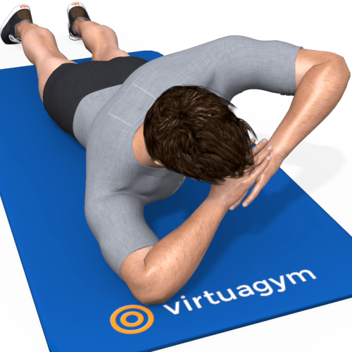 Back Extension And Twist Video Exercise Guide 