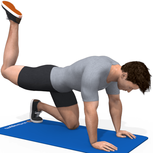 Hamstring Curl HK-stance Video Exercise Guide