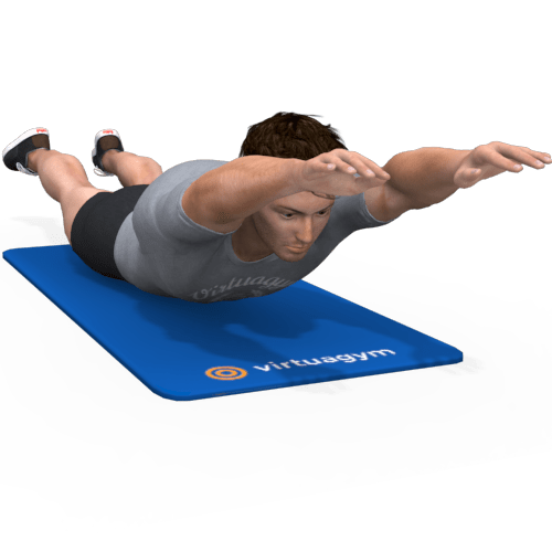 Full Body Back Extension Lying Video Exercise Guide