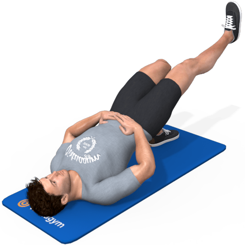 Hip Bridge One Leg Lying Video Exercise Guide