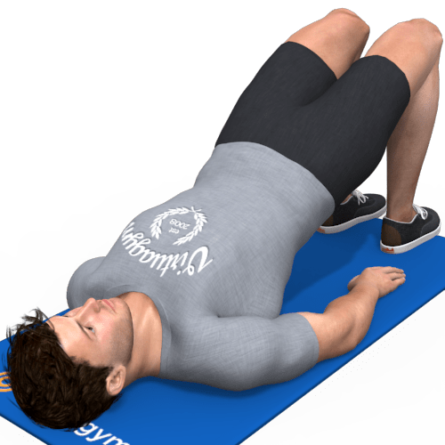 Hip Bridge Video Exercise Guide