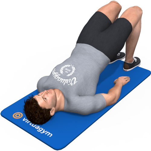 Hip Bridge Static Lying Video Exercise Guide