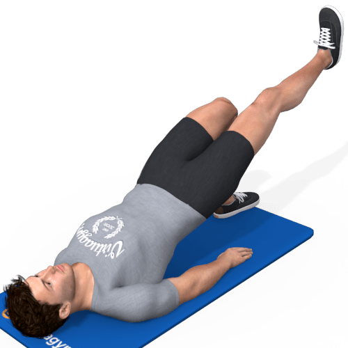 Hip Bridge Leg Extension Lying Video Exercise Guide