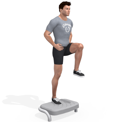 Aerobic Step Step Up Step Down Knee Raise Video Exercise Guide